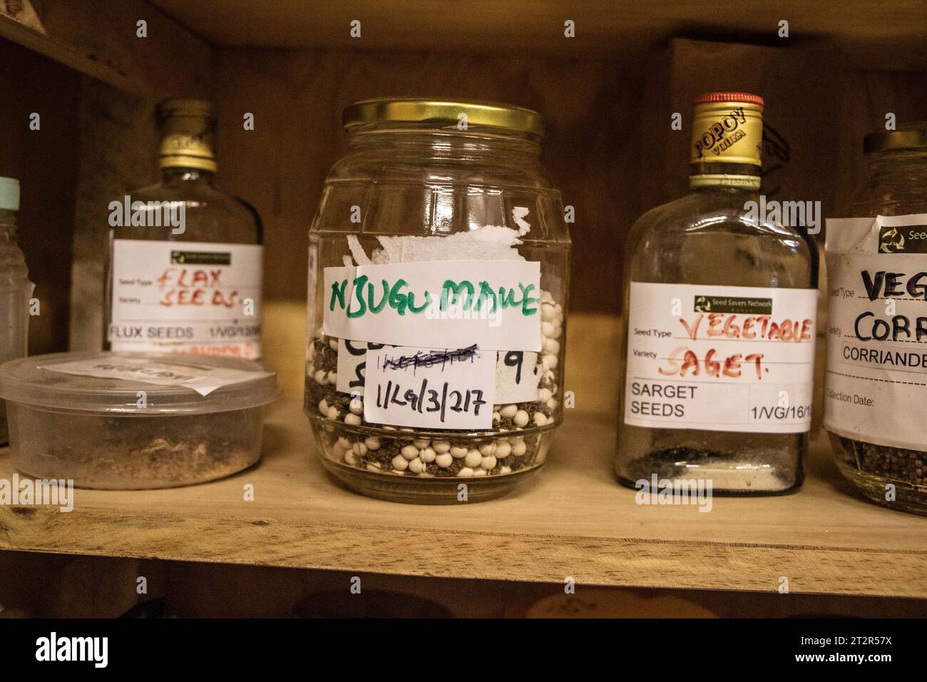Containers with indigenous seed varieties are seen stored at a Seed ...