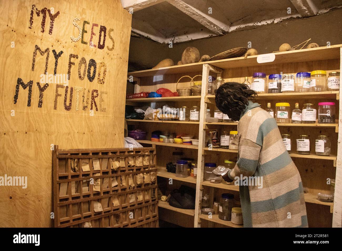 A woman views indigenous seed varieties displayed at a Seed Savers ...