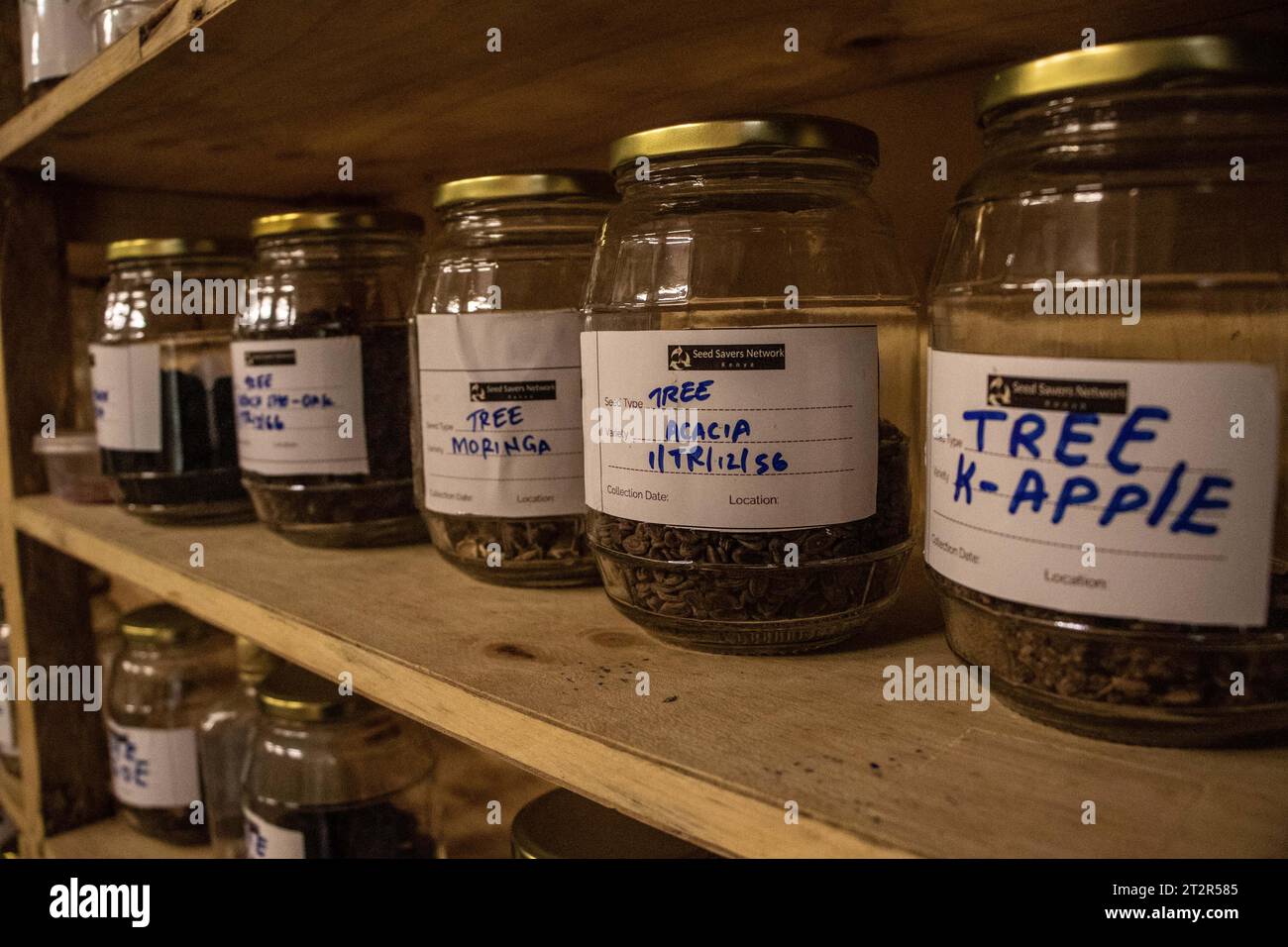Containers with indigenous seed varieties are seen stored at a Seed ...