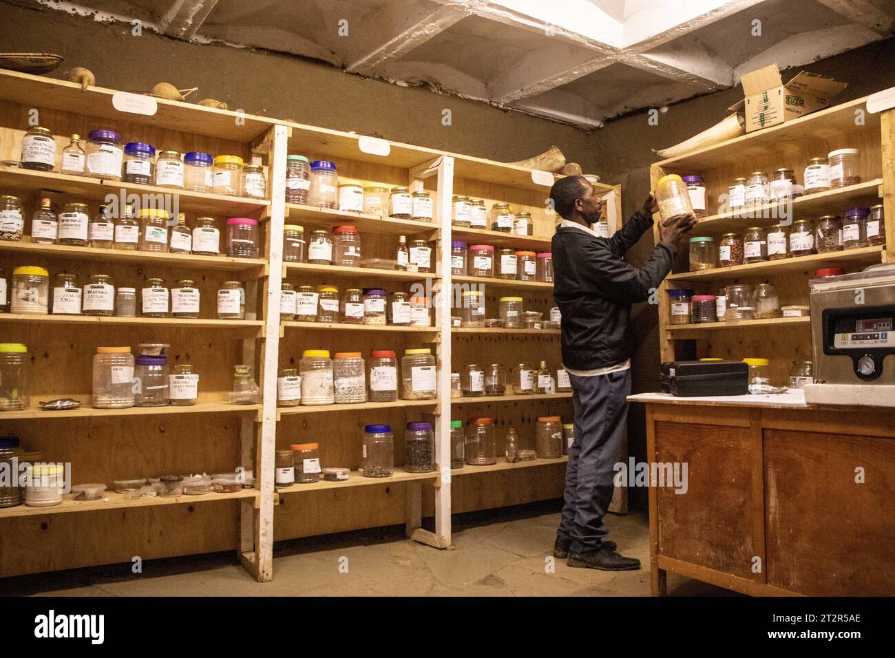 A man views indigenous seed varieties displayed at a Seed Savers ...