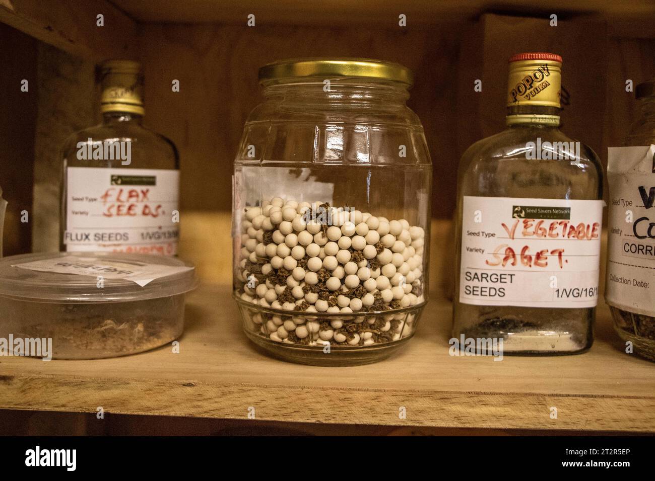 Nakuru, Kenya. 19th Oct, 2023. Containers with indigenous seed ...