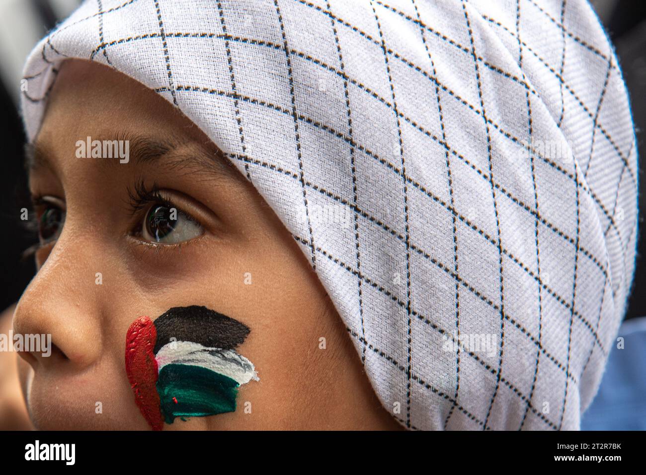 The colors of the palestinian flag hi-res stock photography and images ...