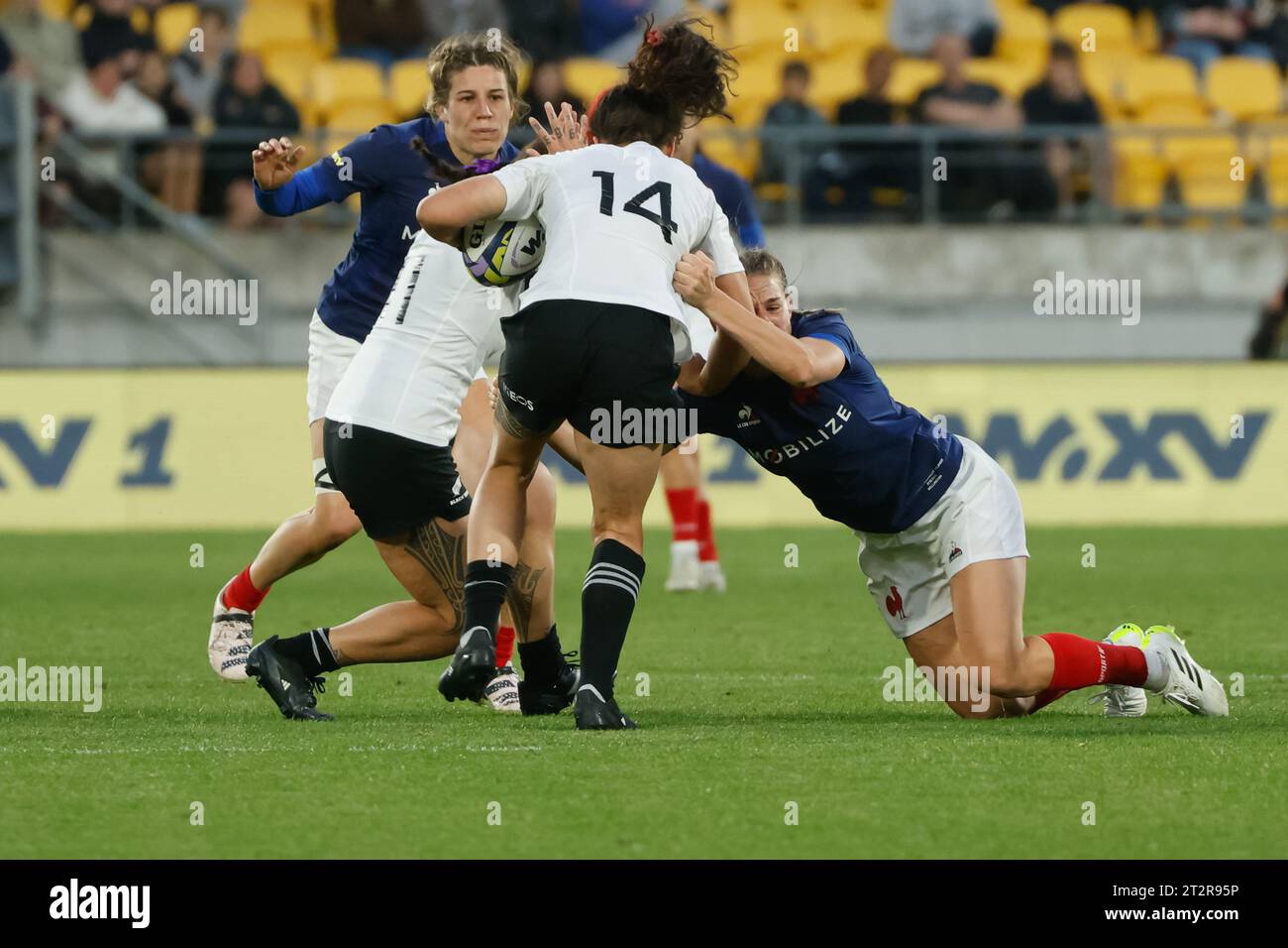 October 21, 2023, Wellington, Te Whanganui-a-Tara, New Zealand ...