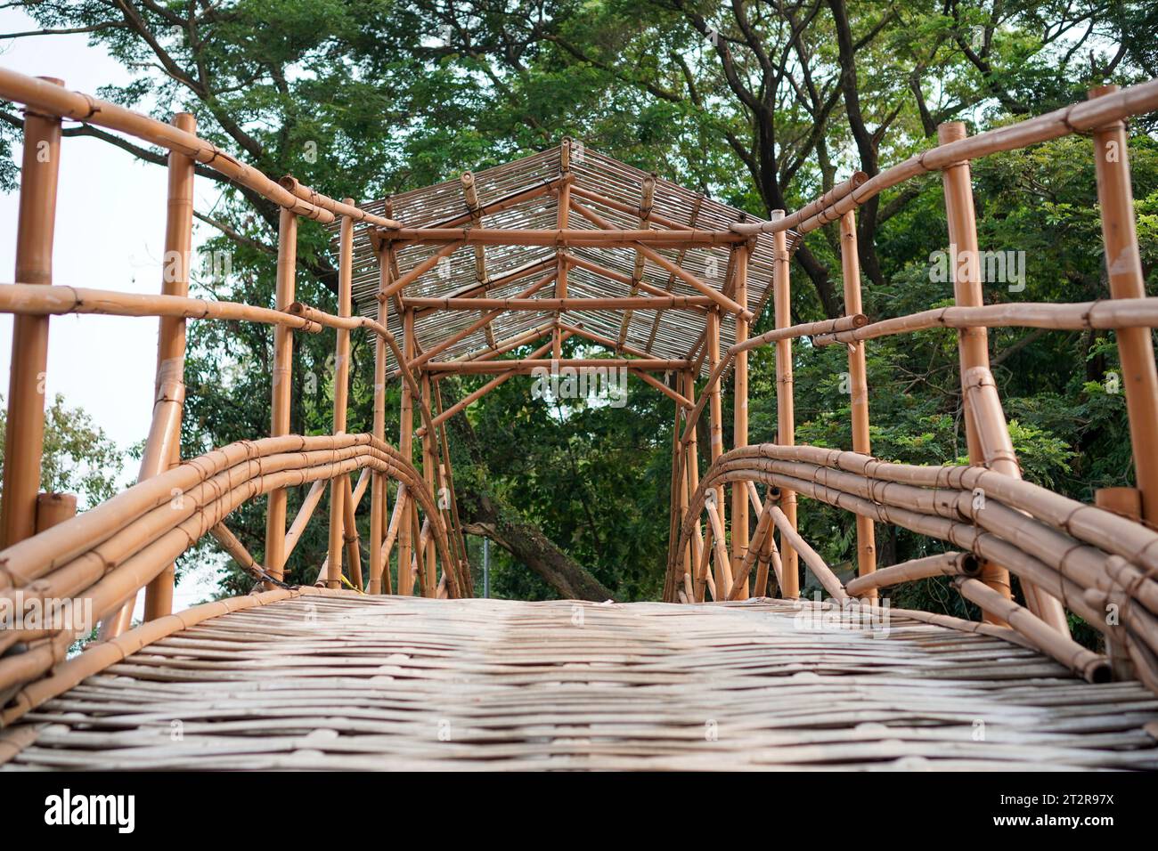 Bamboo footbridge hi-res stock photography and images - Alamy