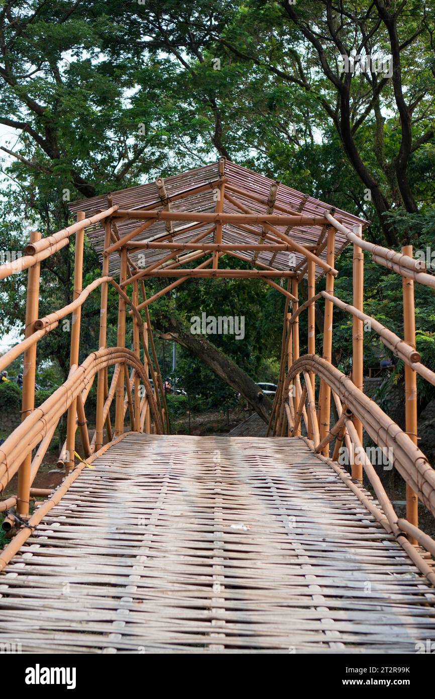 a bridge made of carved bamboo, with a woven floor Stock Photo - Alamy