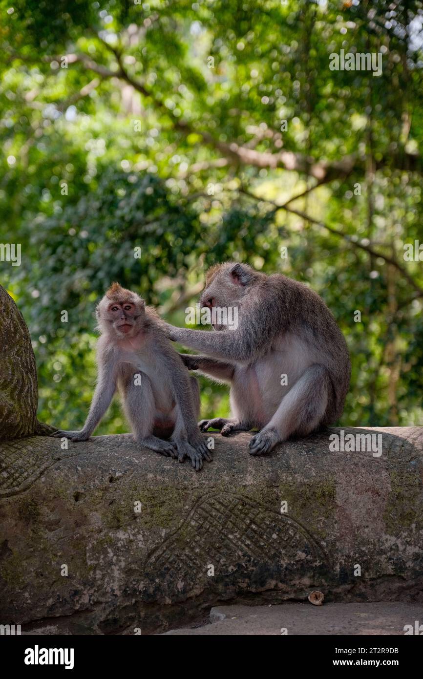 Mutual experience hi-res stock photography and images - Alamy