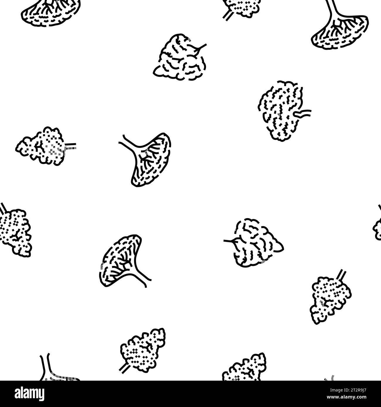 Jungle view mist Black and White Stock Photos & Images - Alamy