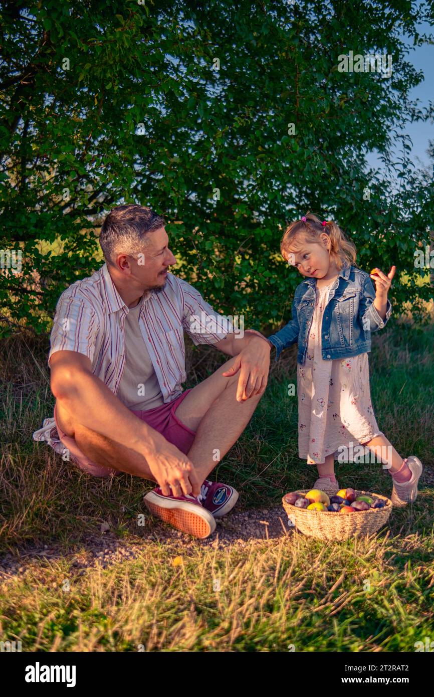 Little beautiful girl with her dad eating apples from a wicker basket ...