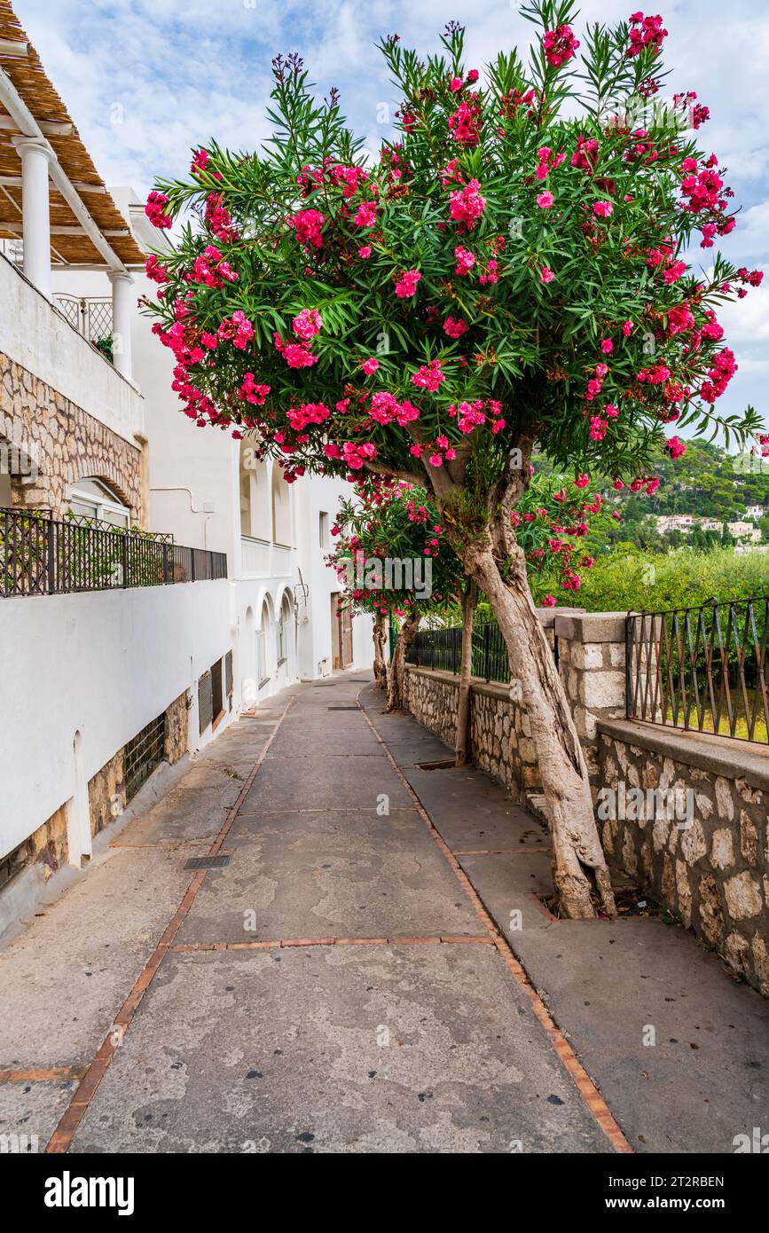 Beautiful Capri Island, Amalfi coast, Italy Stock Photo - Alamy