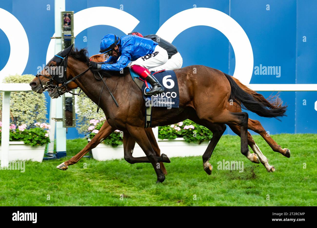 Trawlerman horse hi-res stock photography and images - Alamy