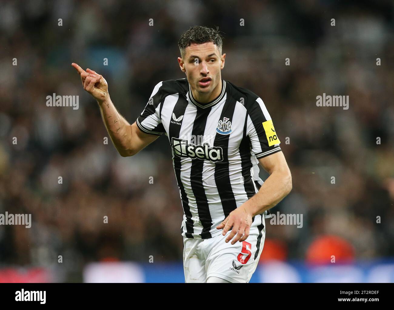 GOAL 3-0, Fabian Schar of Newcastle United goal celebration ...