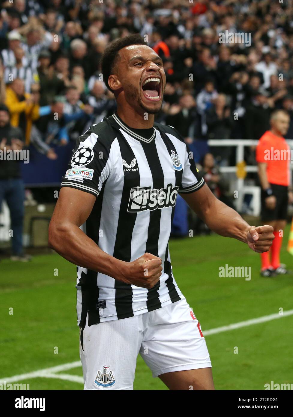Jacob Murphy of Newcastle United celebrates the victory. - Newcastle ...
