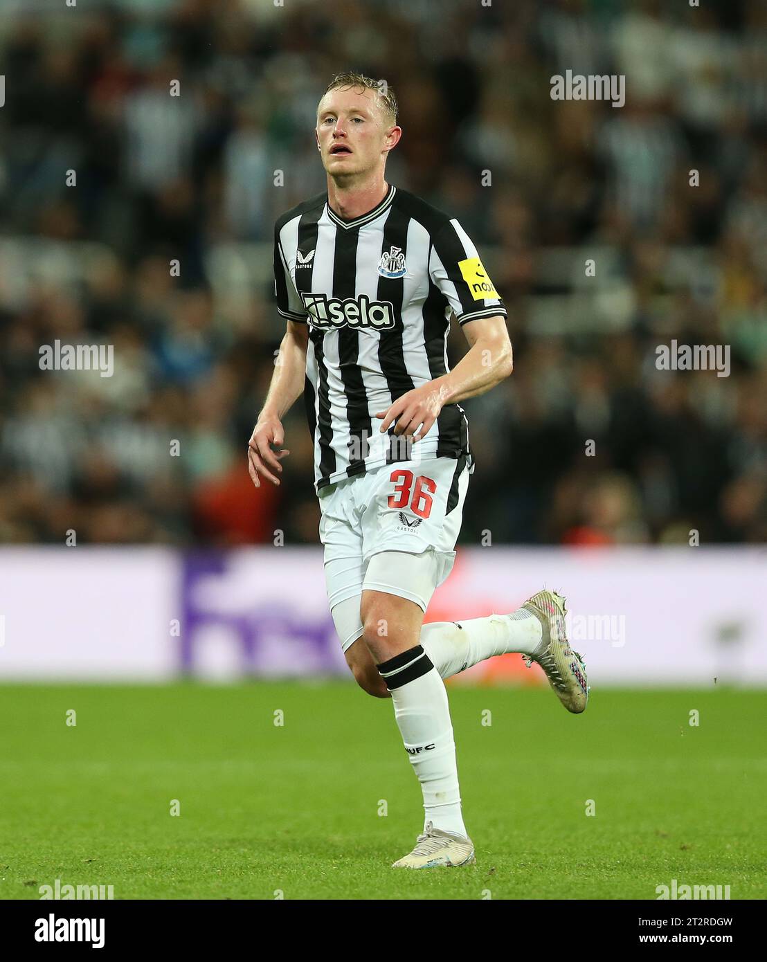 Sean longstaff newcastle united hi-res stock photography and images - Alamy