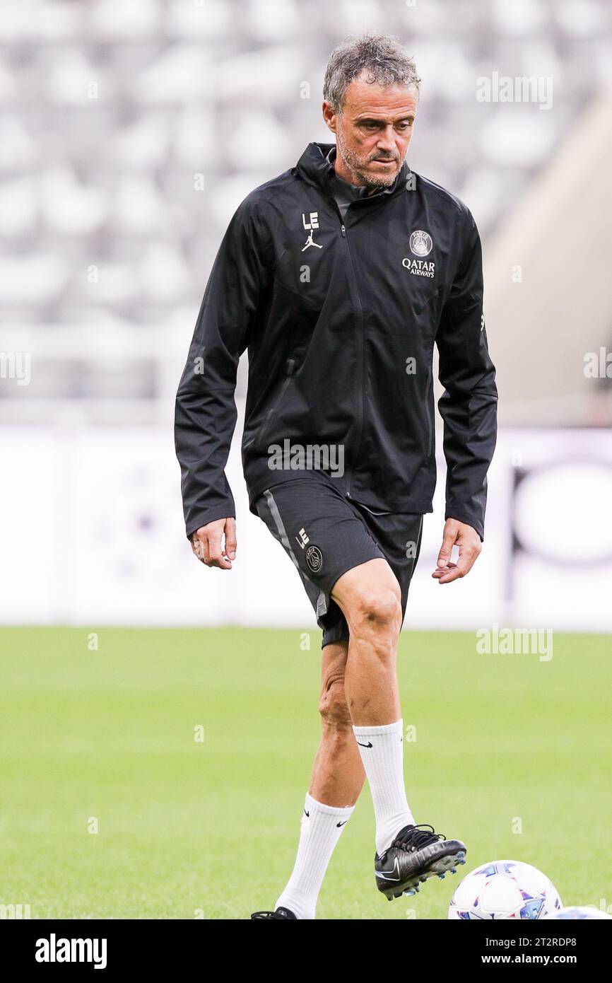 Manager of Paris Saint-Germain, Luis Enrique - Paris Saint-Germain ...