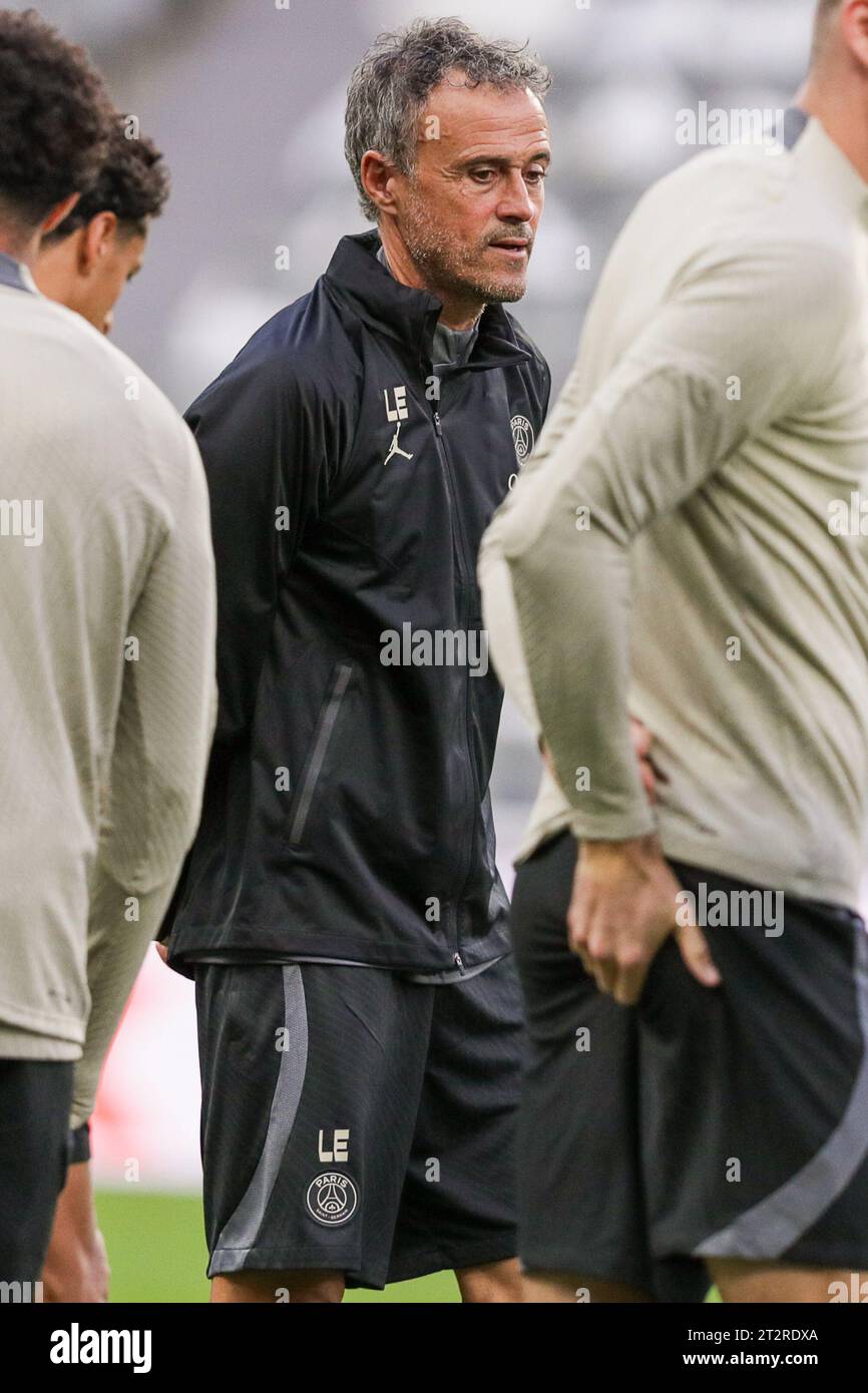 Manager of Paris Saint-Germain, Luis Enrique - Paris Saint-Germain ...