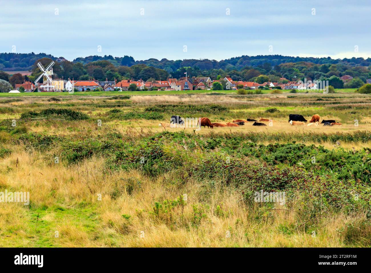 The historic Grade II Listed tower windmill at Cley Next The Sea viewed ...