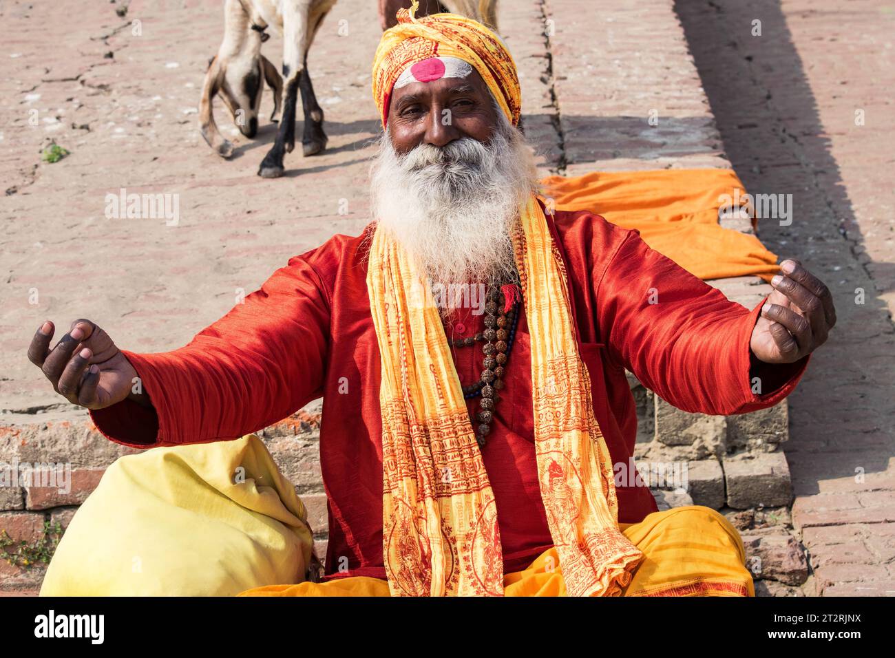 Sadhu naga baba blessing man hi-res stock photography and images - Alamy