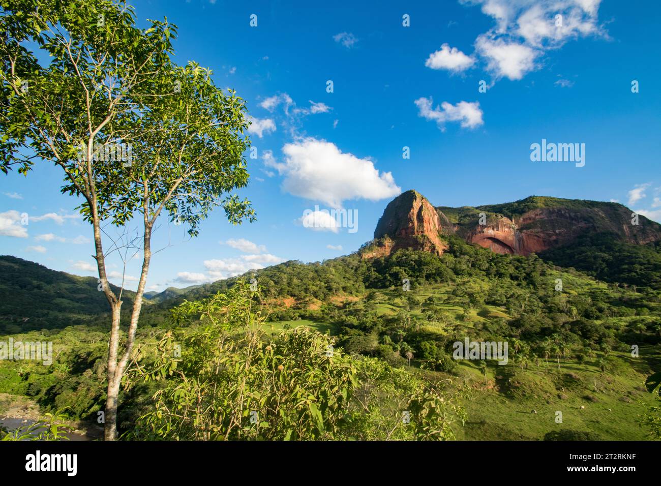 Amboro national park near Samaipata Stock Photo - Alamy
