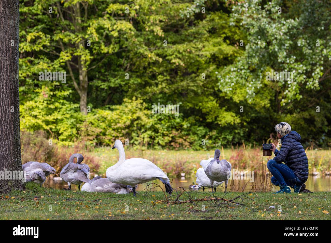 Cottbus, Germany. 21st Oct, 2023. A visitor to Branitz Castle park ...