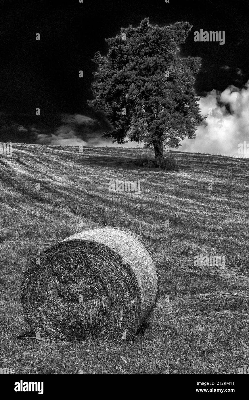 Region of liptov Black and White Stock Photos & Images - Alamy
