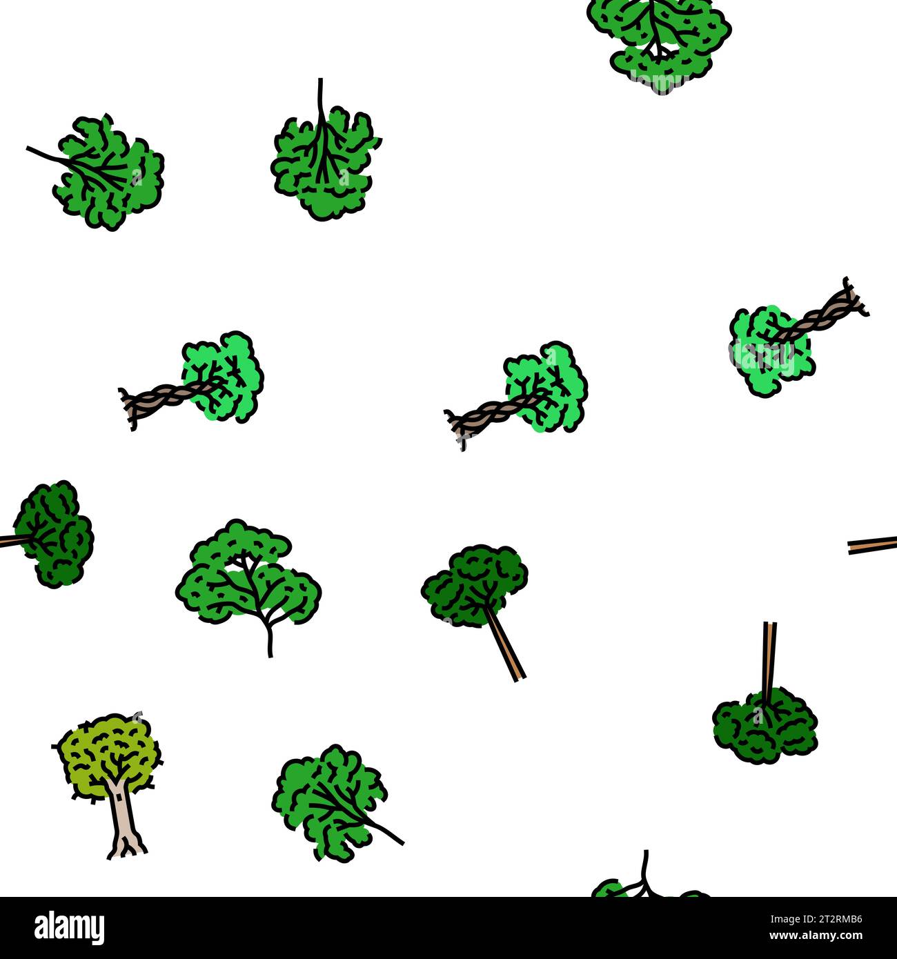 Rainforest vegetation brazil Cut Out Stock Images & Pictures - Alamy