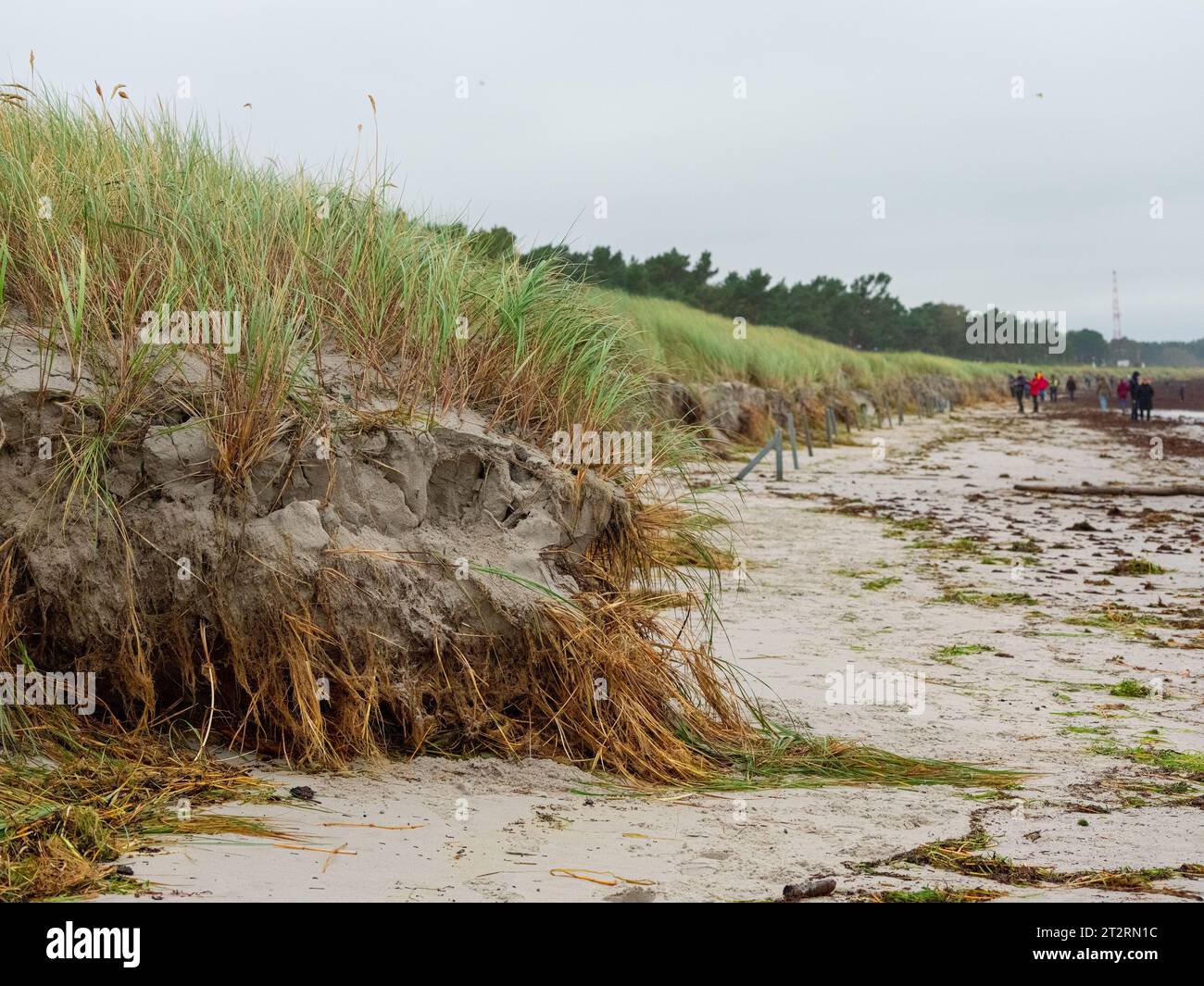 Breege, Germany. 21st Oct, 2023. Waves have eroded the dunes on the ...