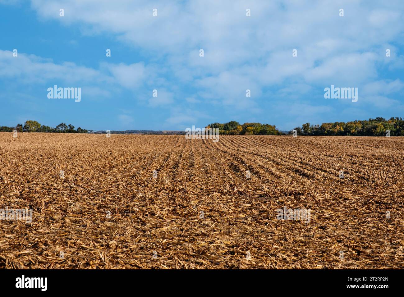 Long grove hi-res stock photography and images - Alamy