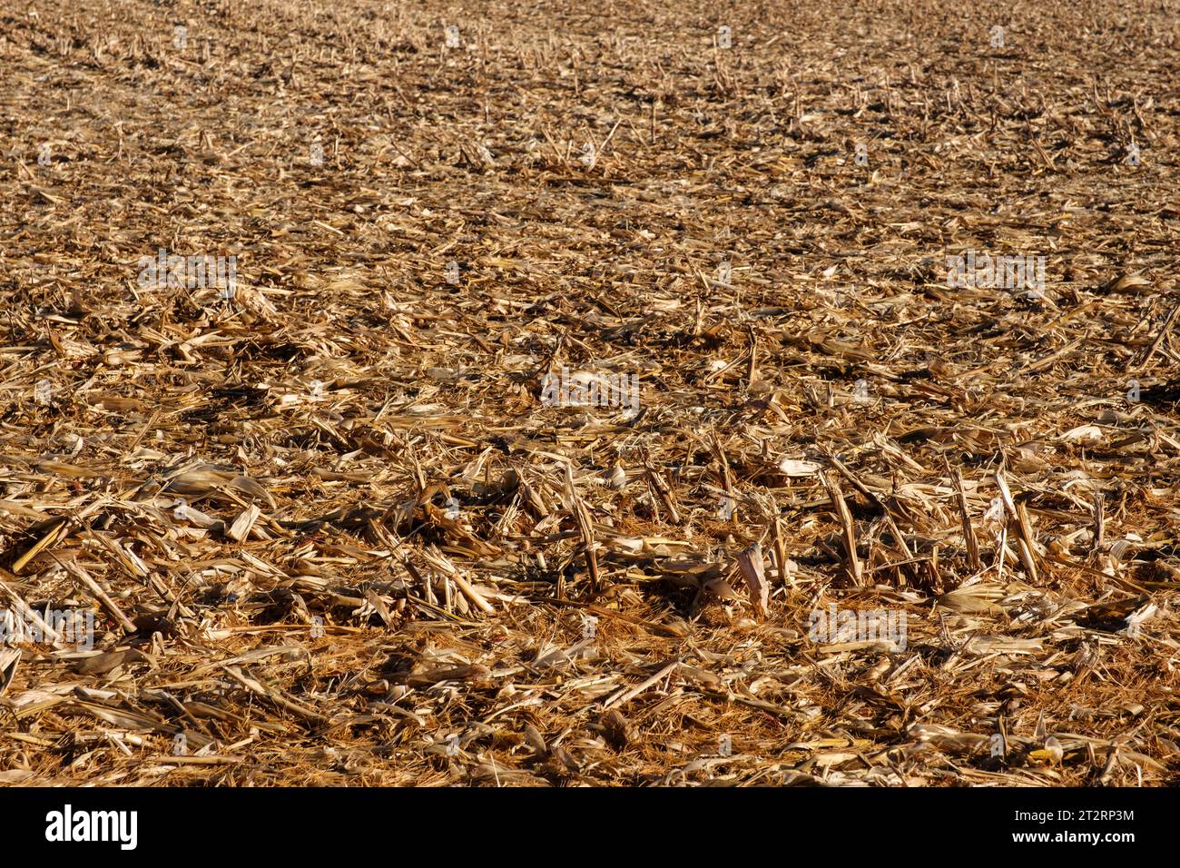 Iowa field after harvest hi-res stock photography and images - Alamy