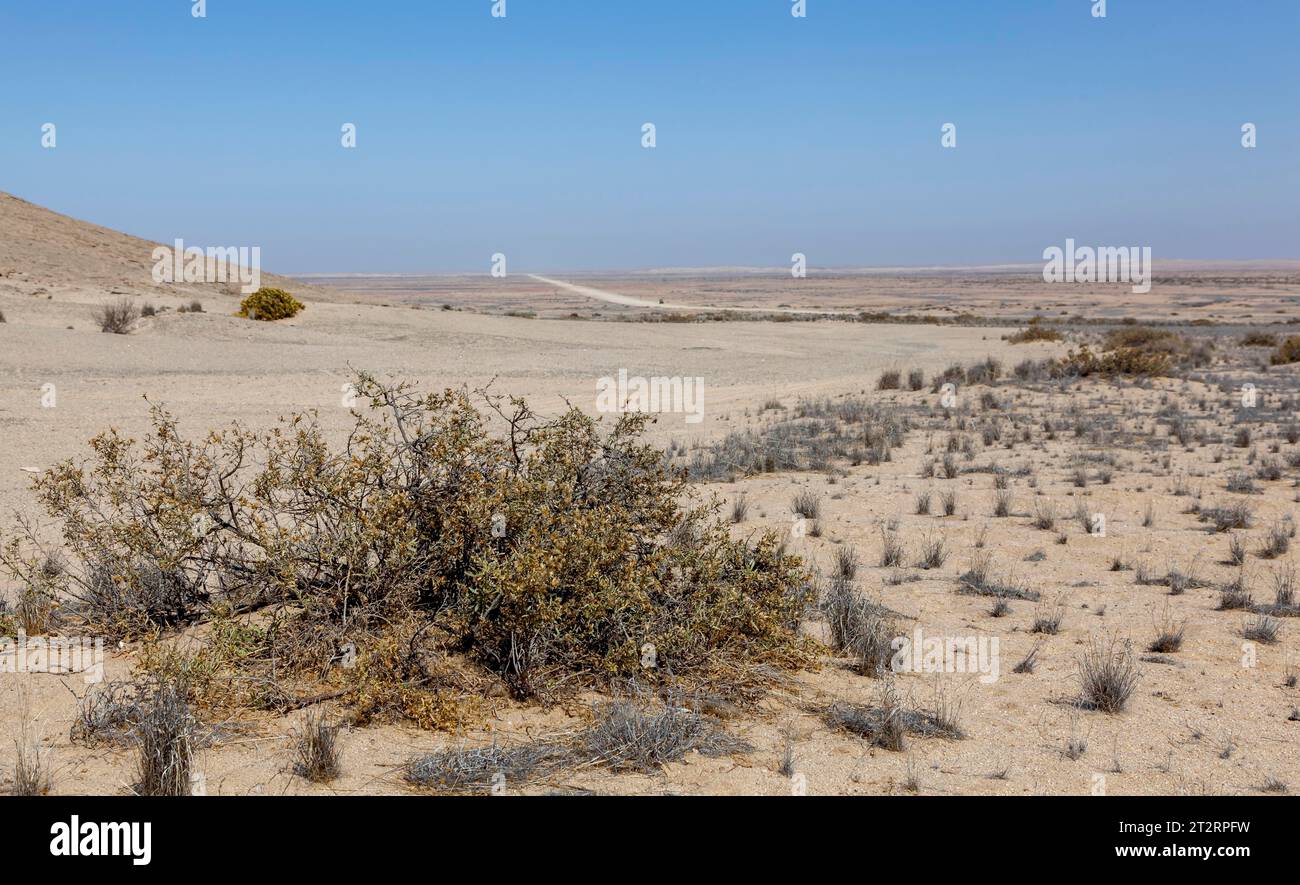 Landscape at Bird Feather Mountain, on Main Road C14, Namibia Stock ...