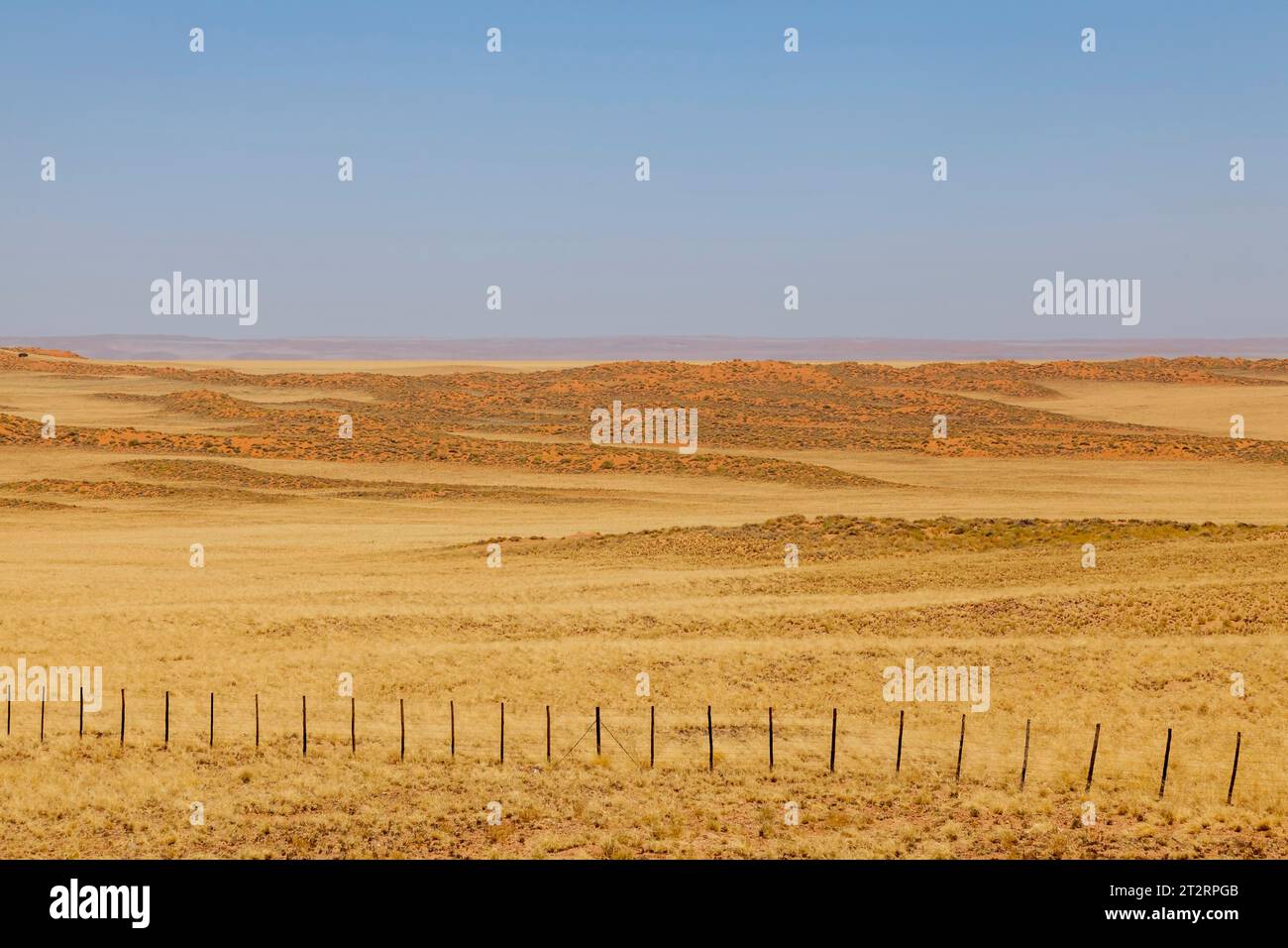 Landscape on the main road C14, Namibia Stock Photo - Alamy