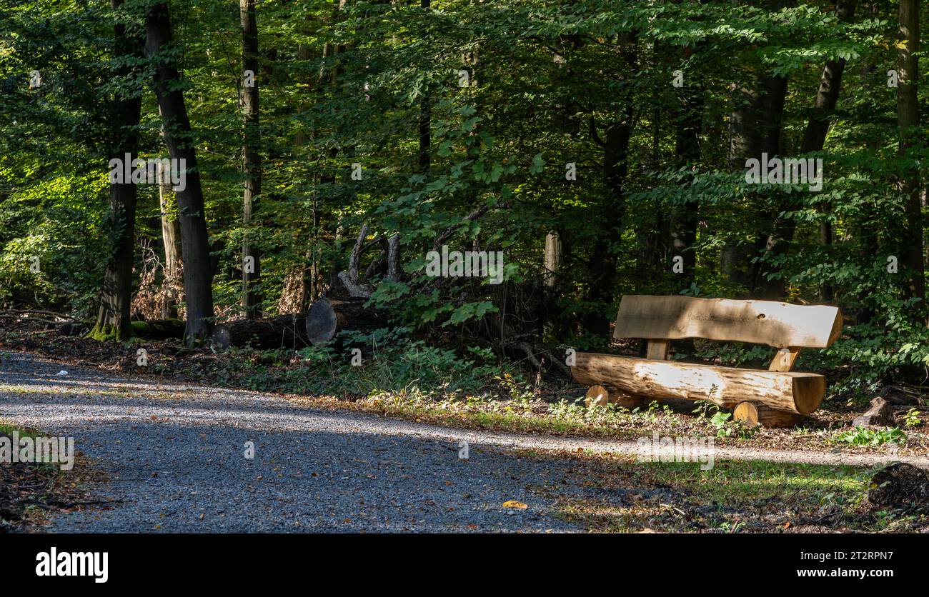 Decorative natural wood bench in Tegeler Forst, Berlin, Germany Stock ...