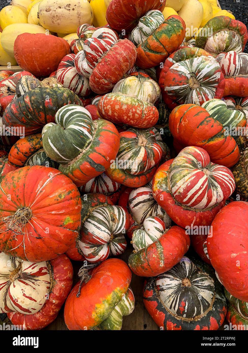 Eve of halloween hi-res stock photography and images - Alamy