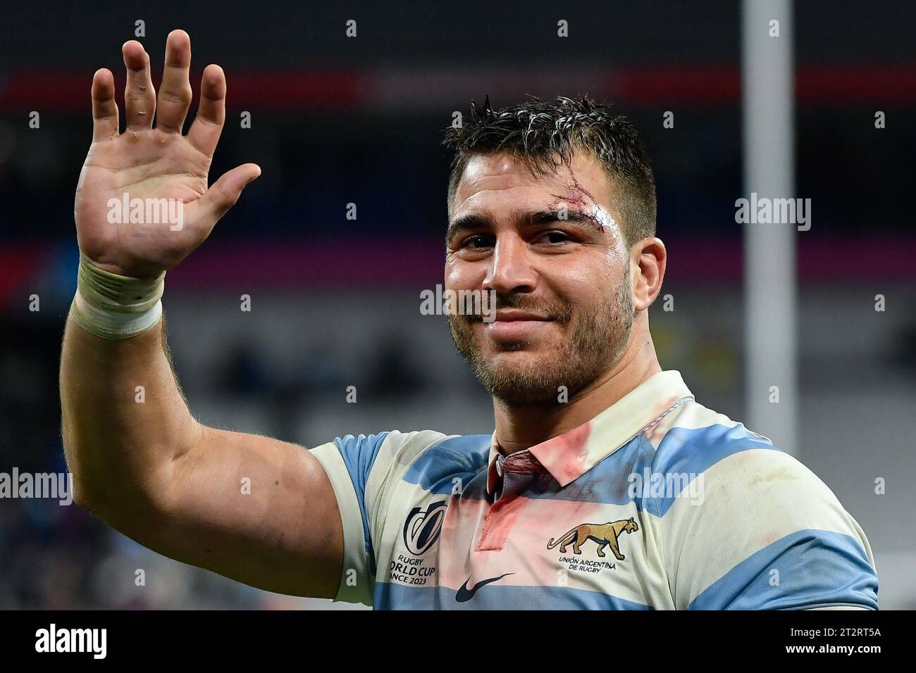 Julien Mattia / Le Pictorium - Argentina versus New Zealand, at the ...