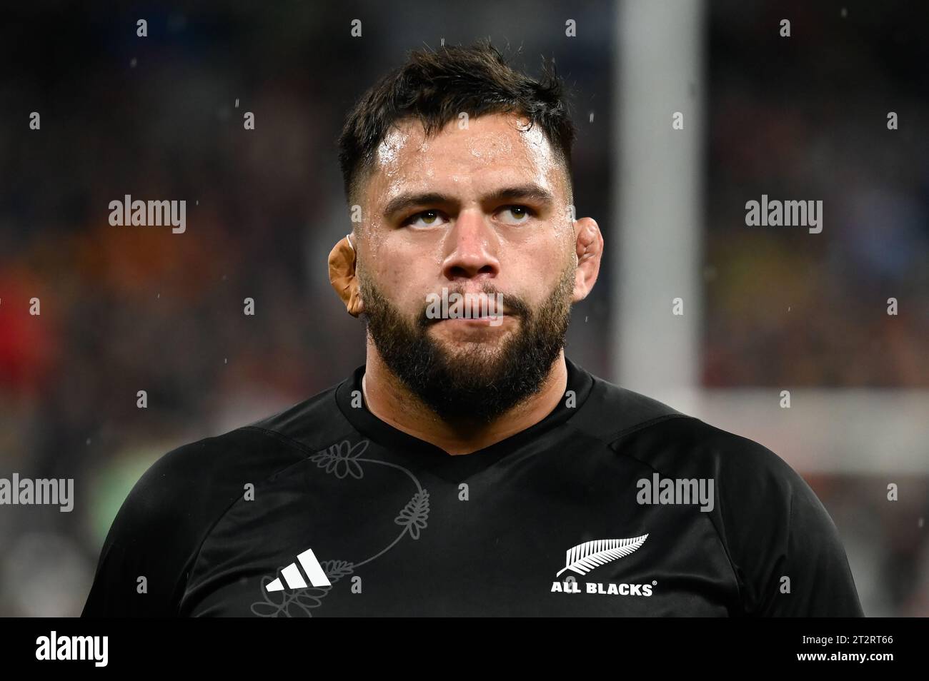 Tyrel lomax new zealand rugby hi-res stock photography and images - Alamy