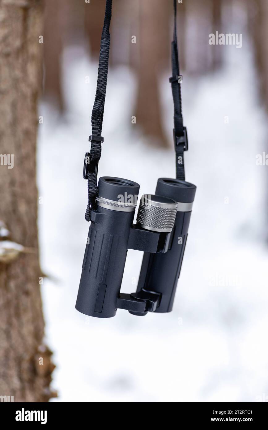 Forest spy black white hi-res stock photography and images - Alamy