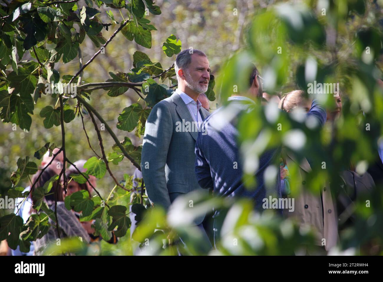 Asturias exemplary people award 2023 hi-res stock photography and ...