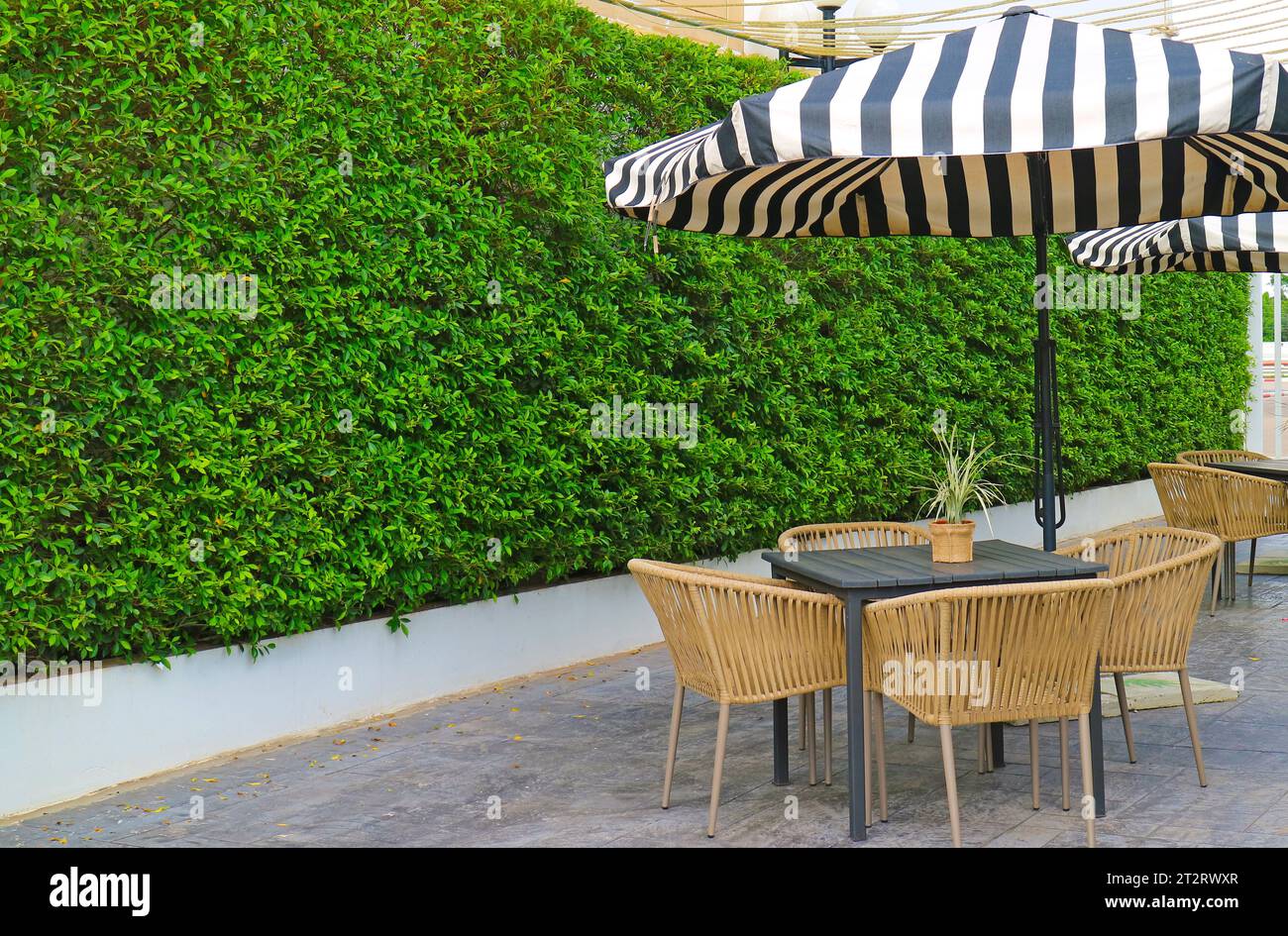 Cozy Outdoor Seating in a Green Garden Stock Photo - Alamy