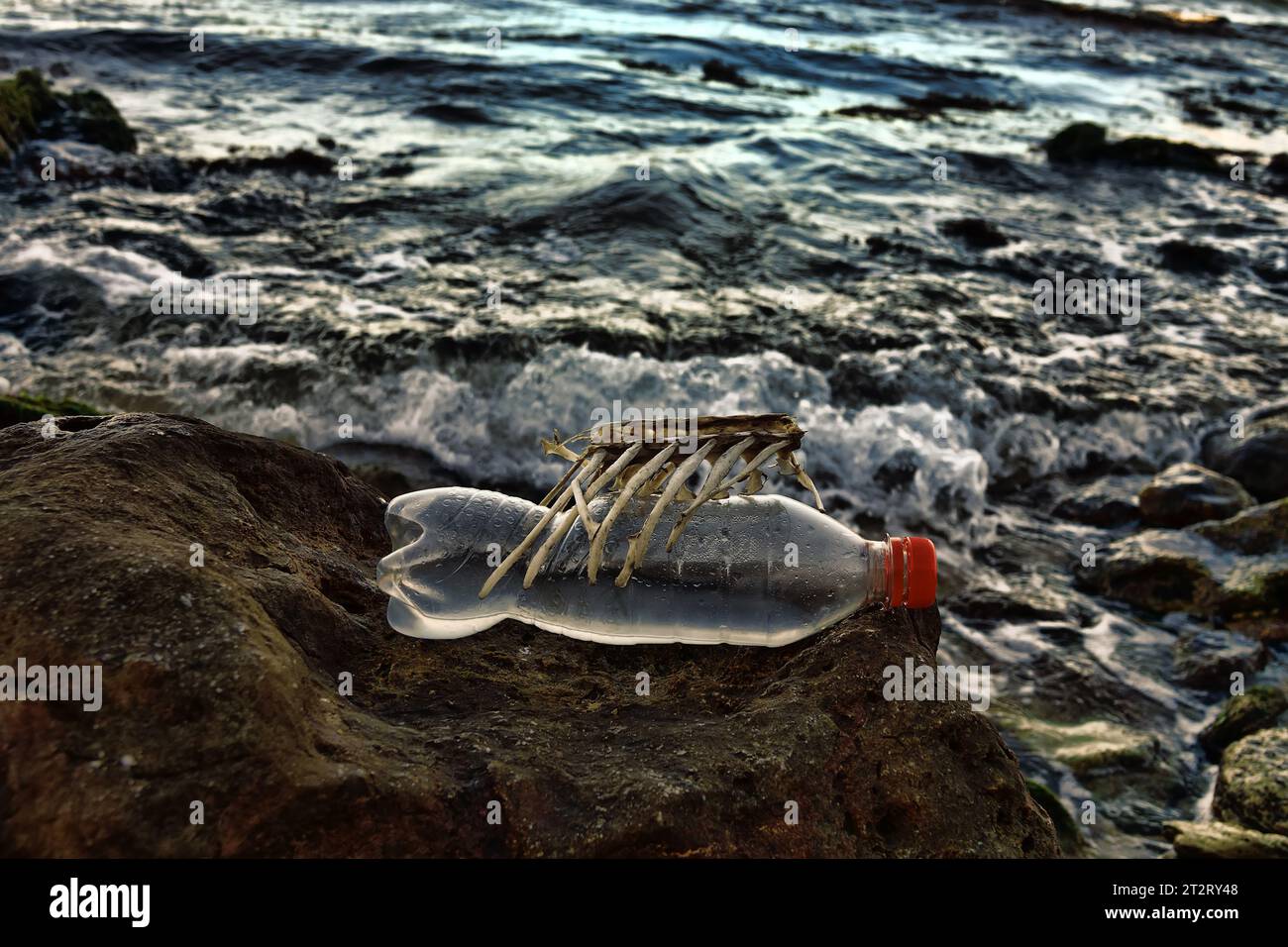 Plastic pollution of sea. Nature is fighting with garbage Stock Photo ...