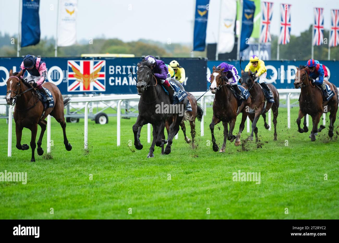 Ascot, Berkshire, United Kingdom. Saturday 21st October 2023. King Of ...