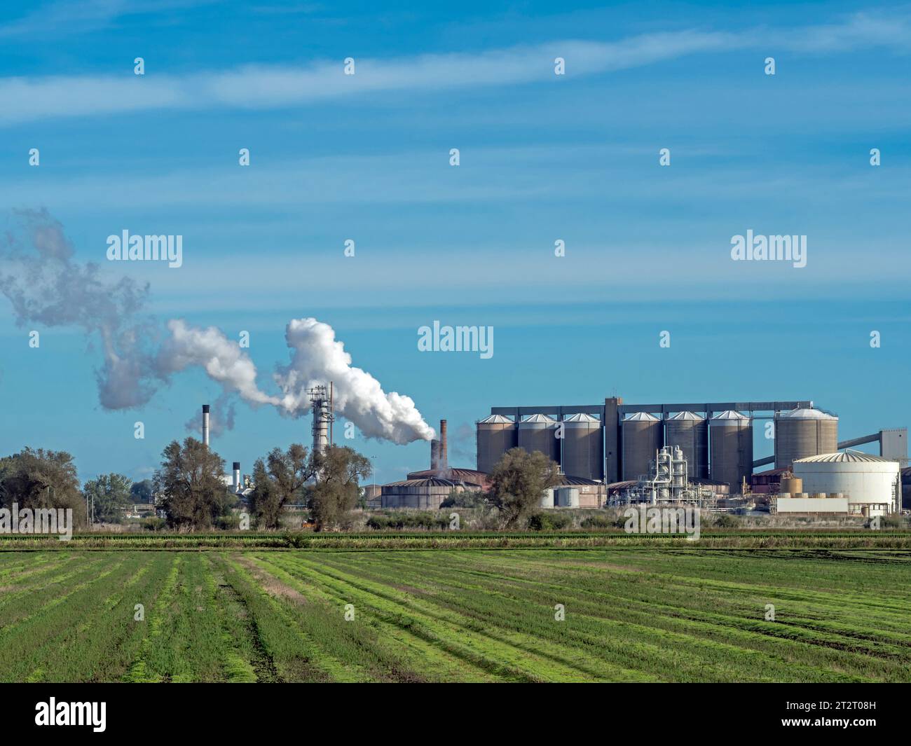 View of Wissington Sugar Beet Factory, Wissington, Norfolk, England ...