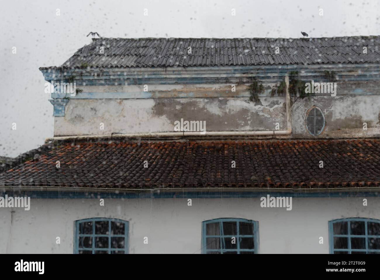 Glass roof building nature hi-res stock photography and images - Alamy