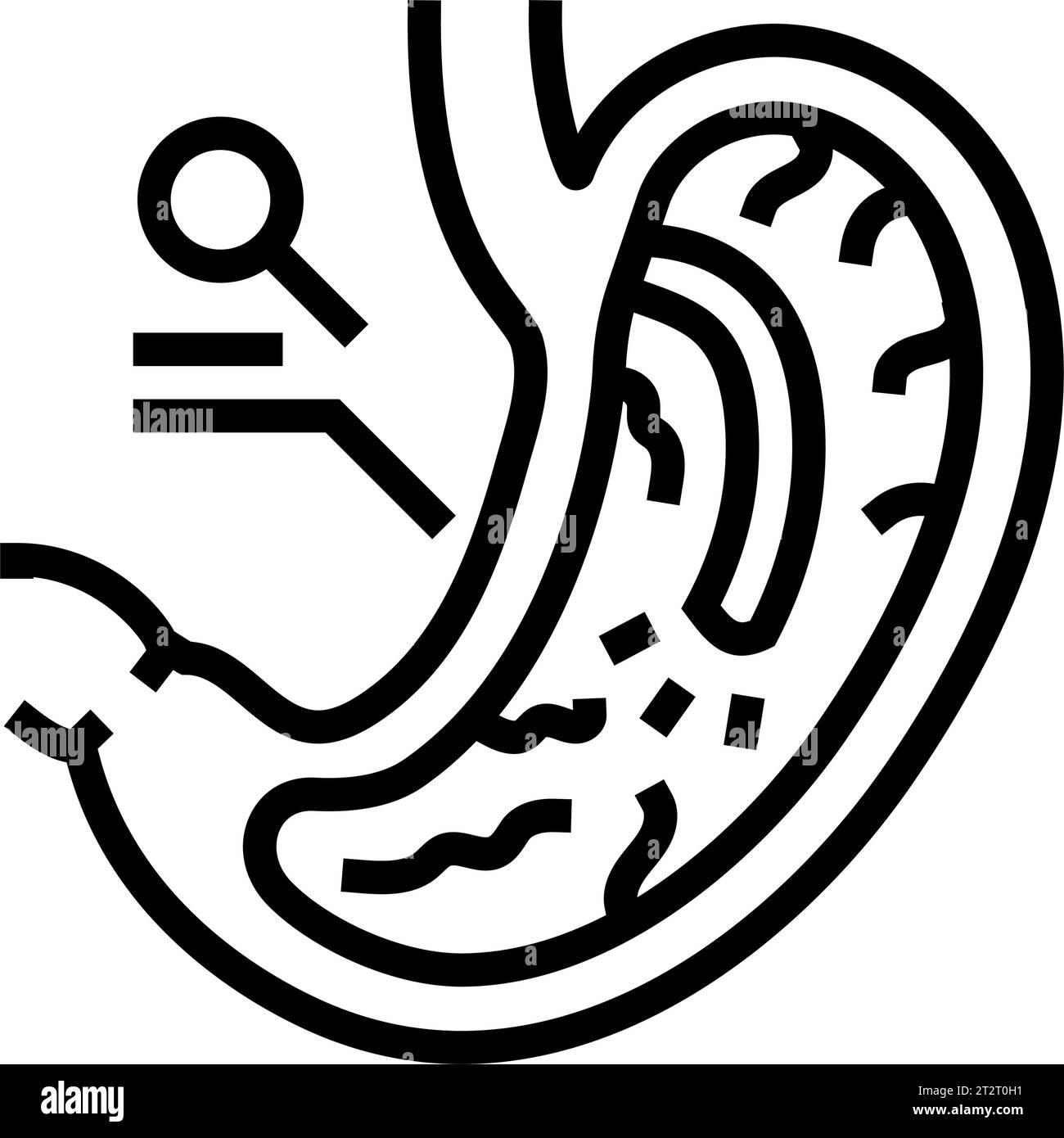 gastroscopy procedure gastroenterologist line icon vector illustration ...