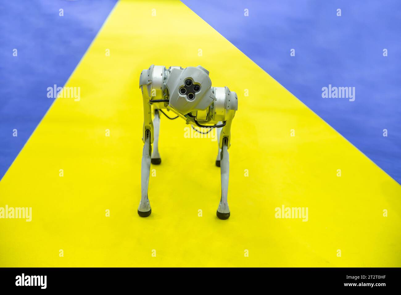 A Quadruped Dog Robot watching to camera, focus selective Stock Photo ...