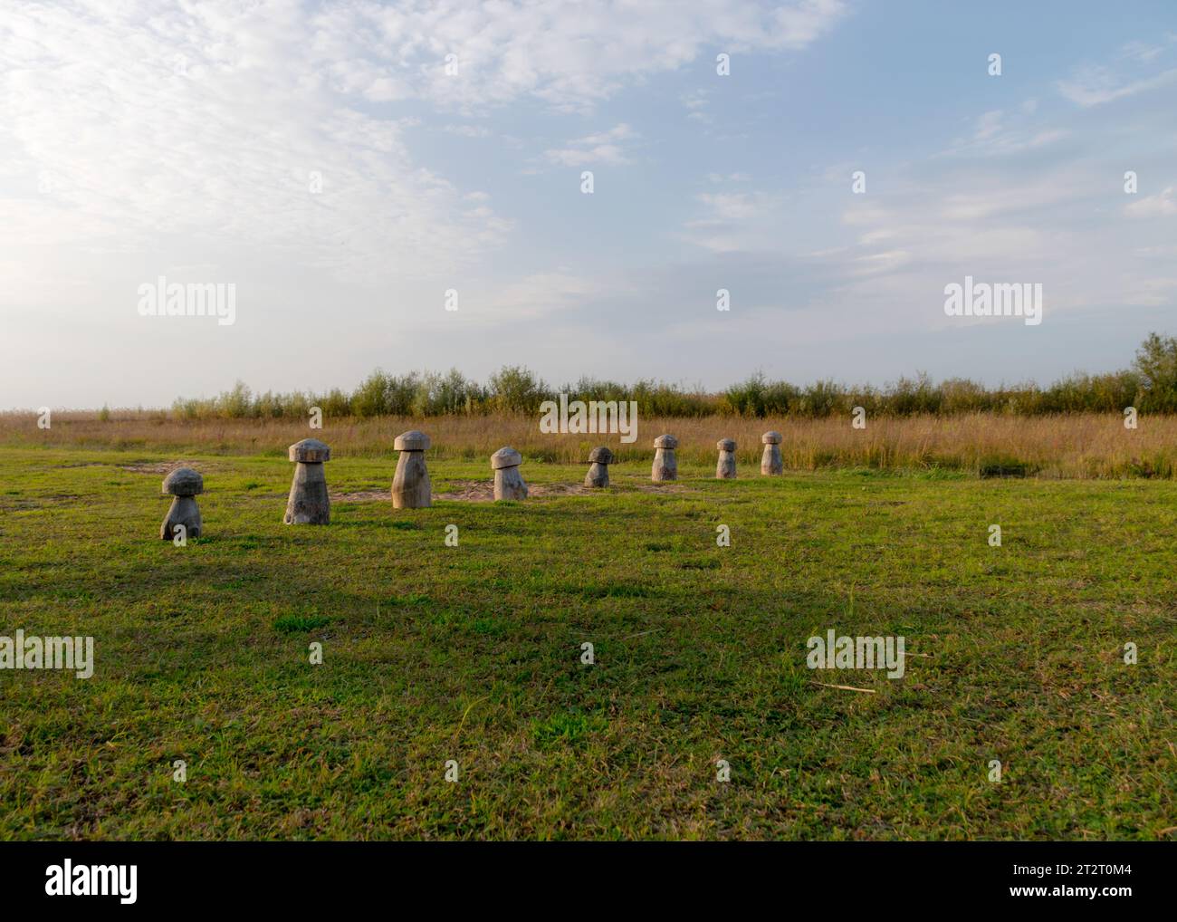 wooden figures in the meadow delimit the beach from the parking lot ...