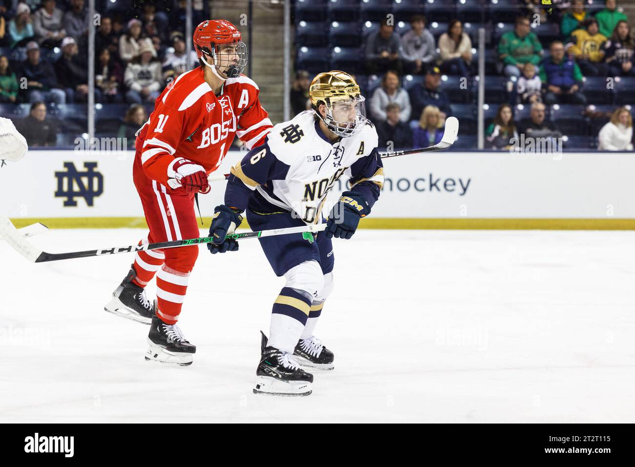 South Bend, Indiana, USA. 20th Oct, 2023. Boston University forward ...