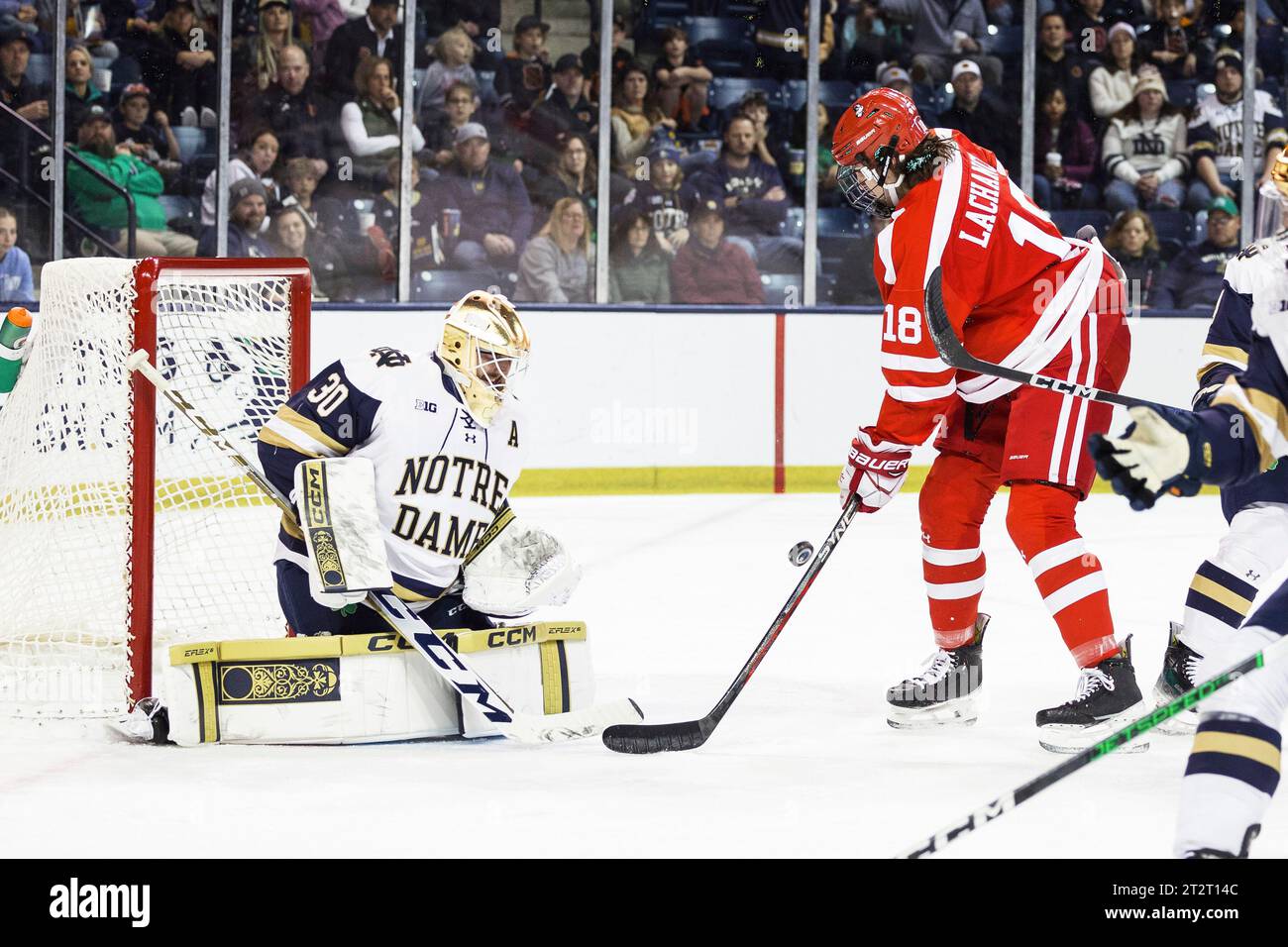 South Bend, Indiana, USA. 20th Oct, 2023. Boston University forward ...