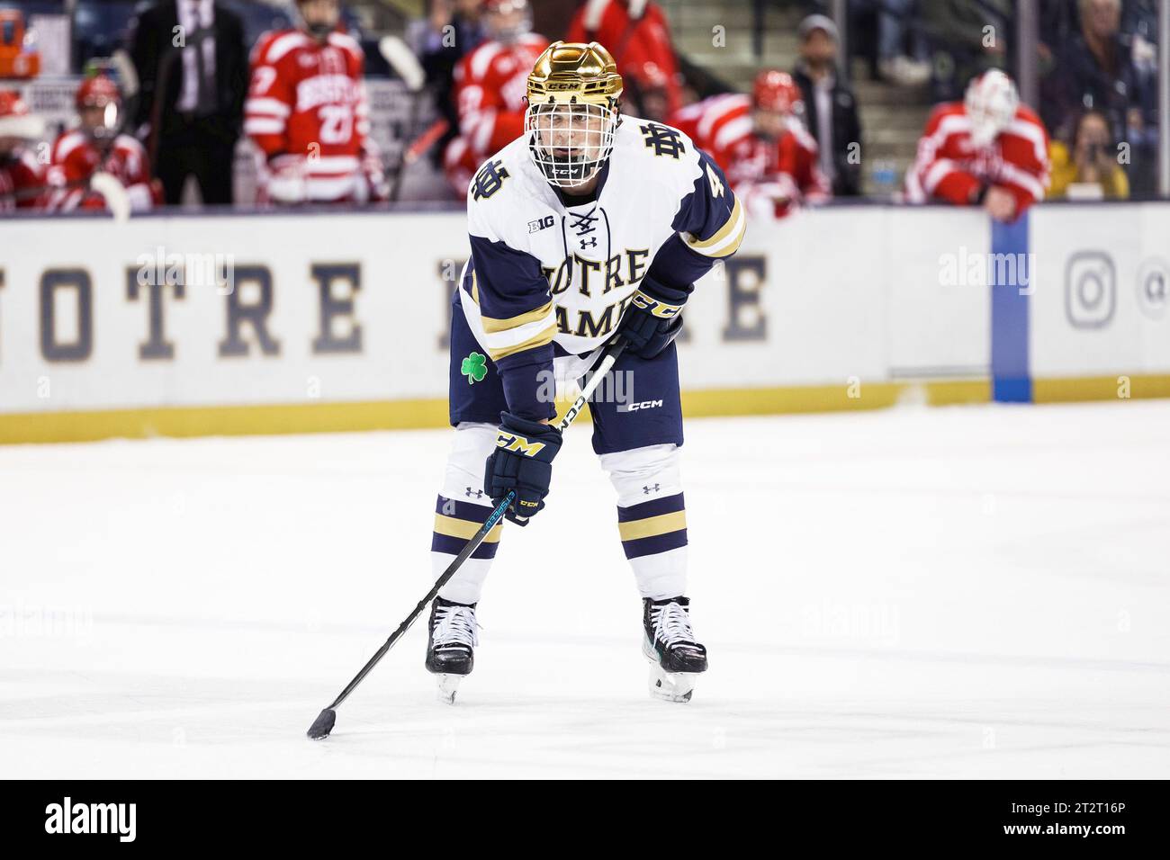 South Bend, Indiana, USA. 20th Oct, 2023. Notre Dame defenseman Michael ...