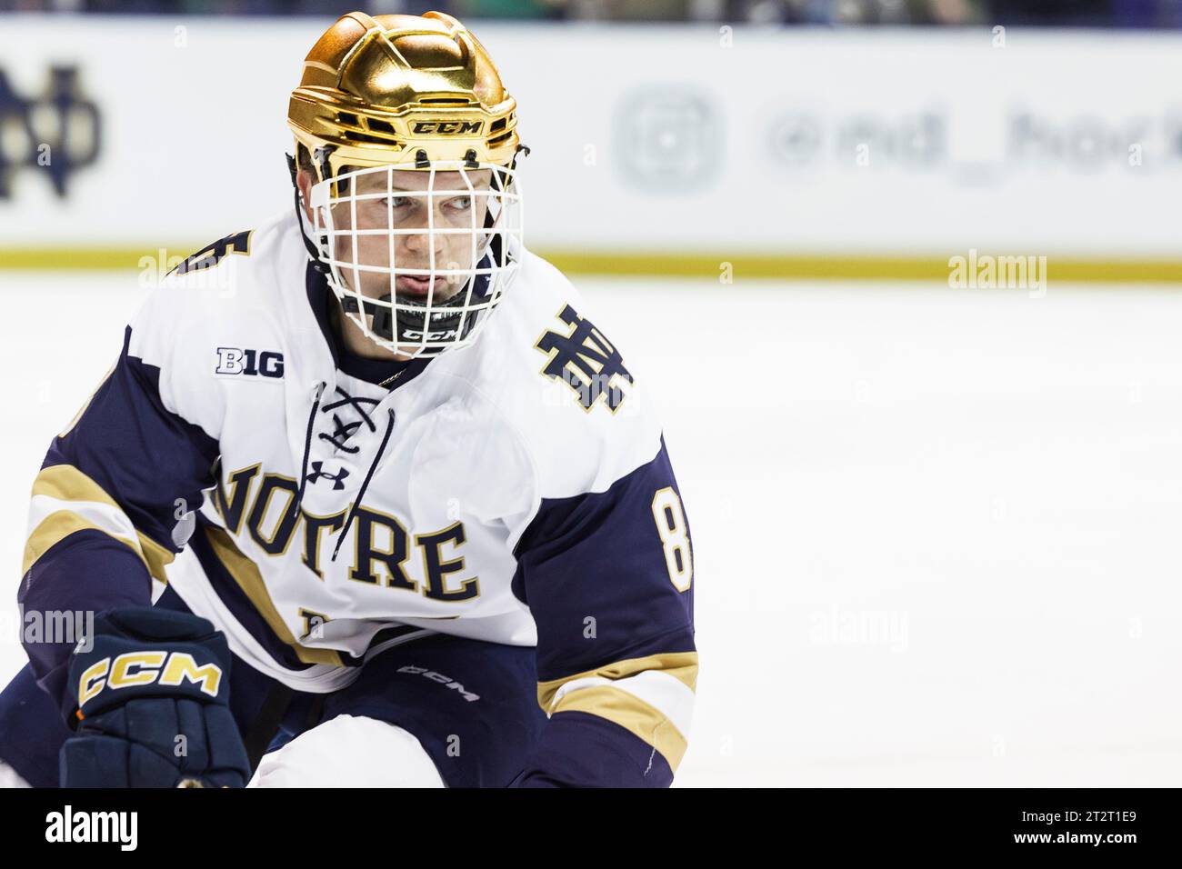 South Bend, Indiana, USA. 20th Oct, 2023. Notre Dame forward Justin ...