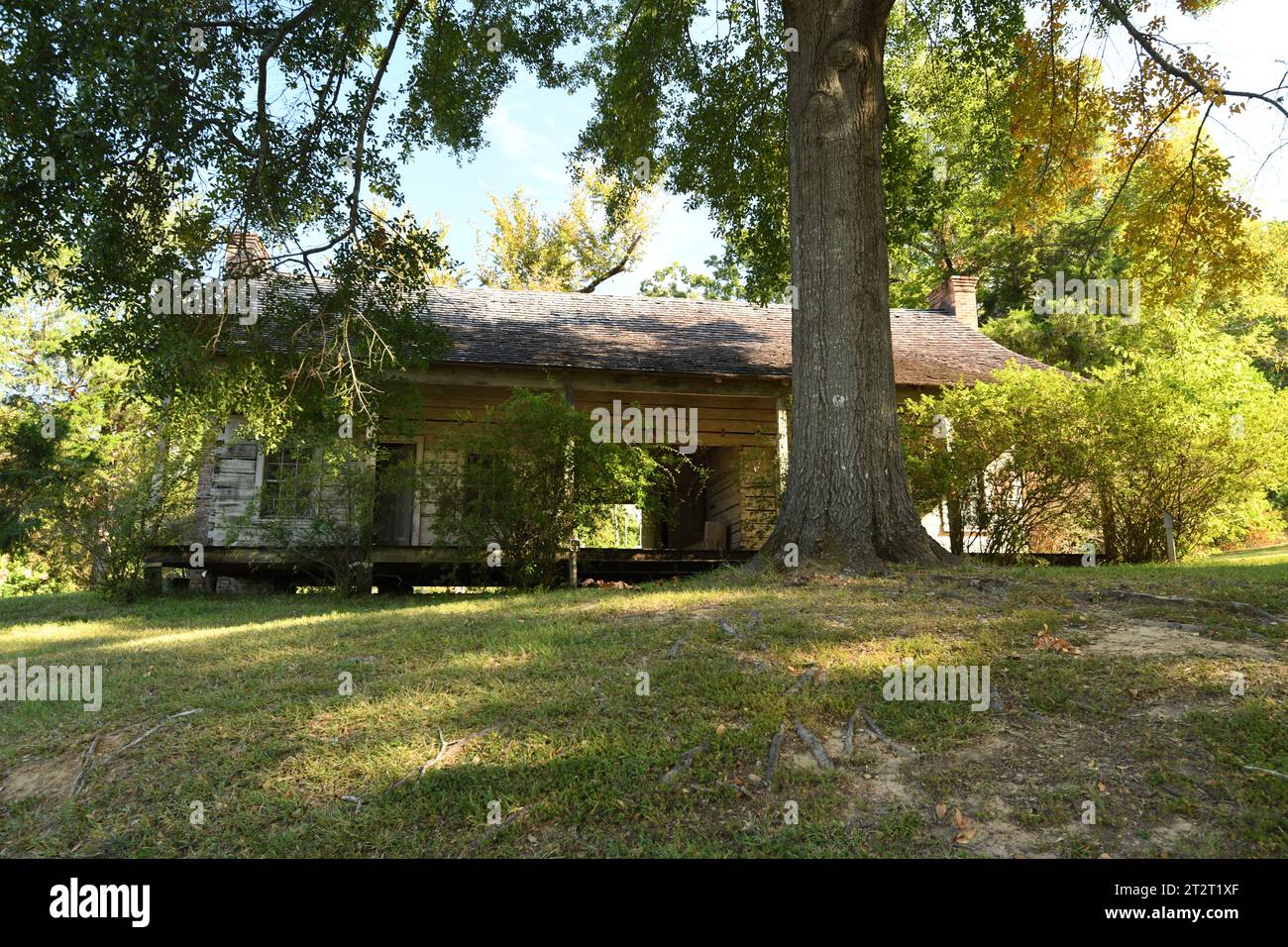 Log cabin chinking hi-res stock photography and images - Alamy