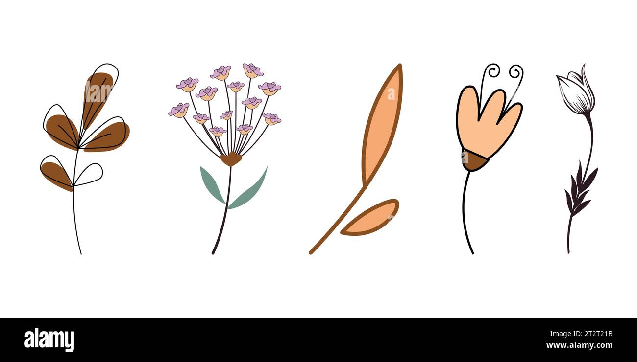 Yellow flowers in a meadow Cut Out Stock Images & Pictures - Alamy